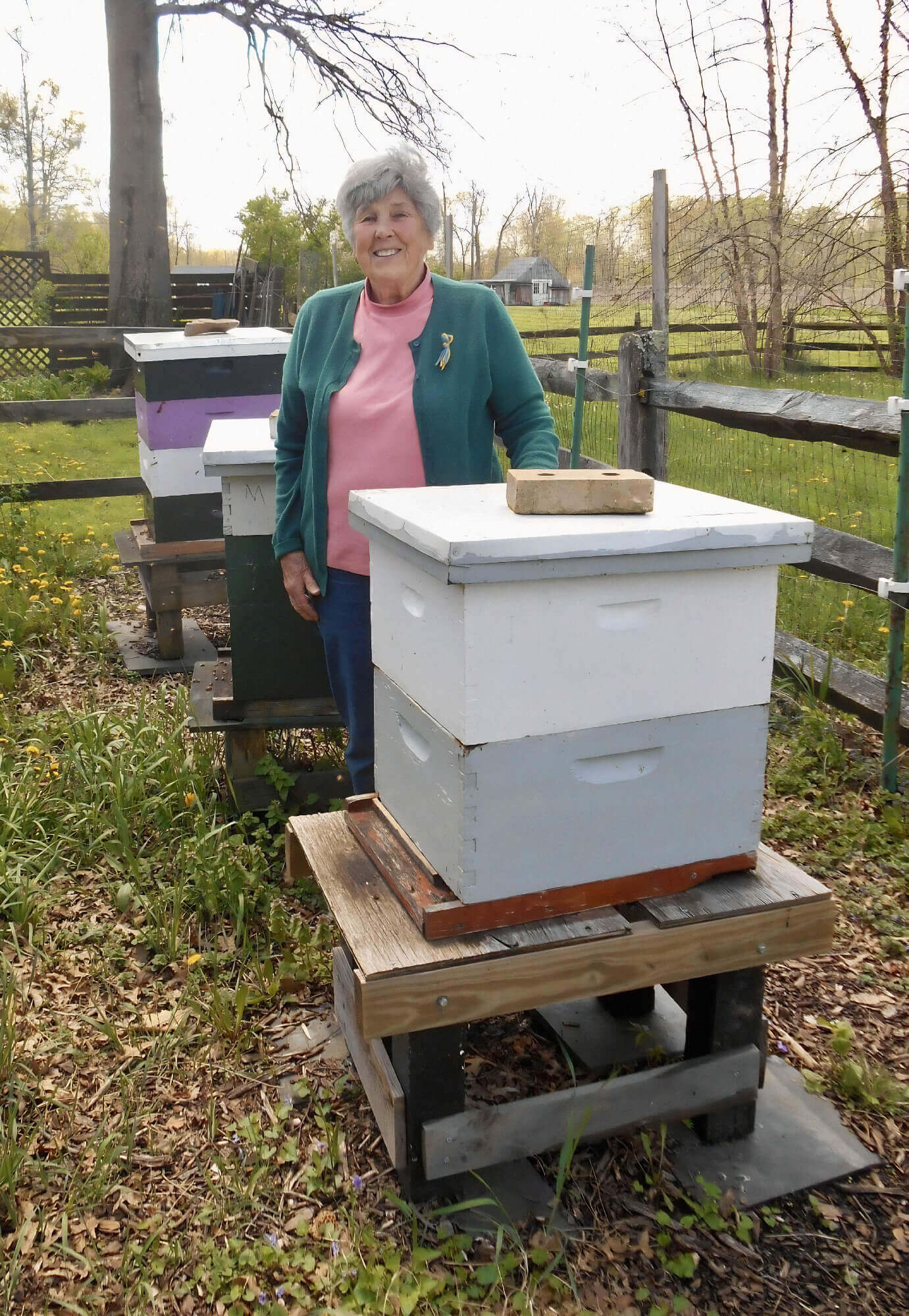 Beekeeping on Gooseberry Farm - Free Estonian Word