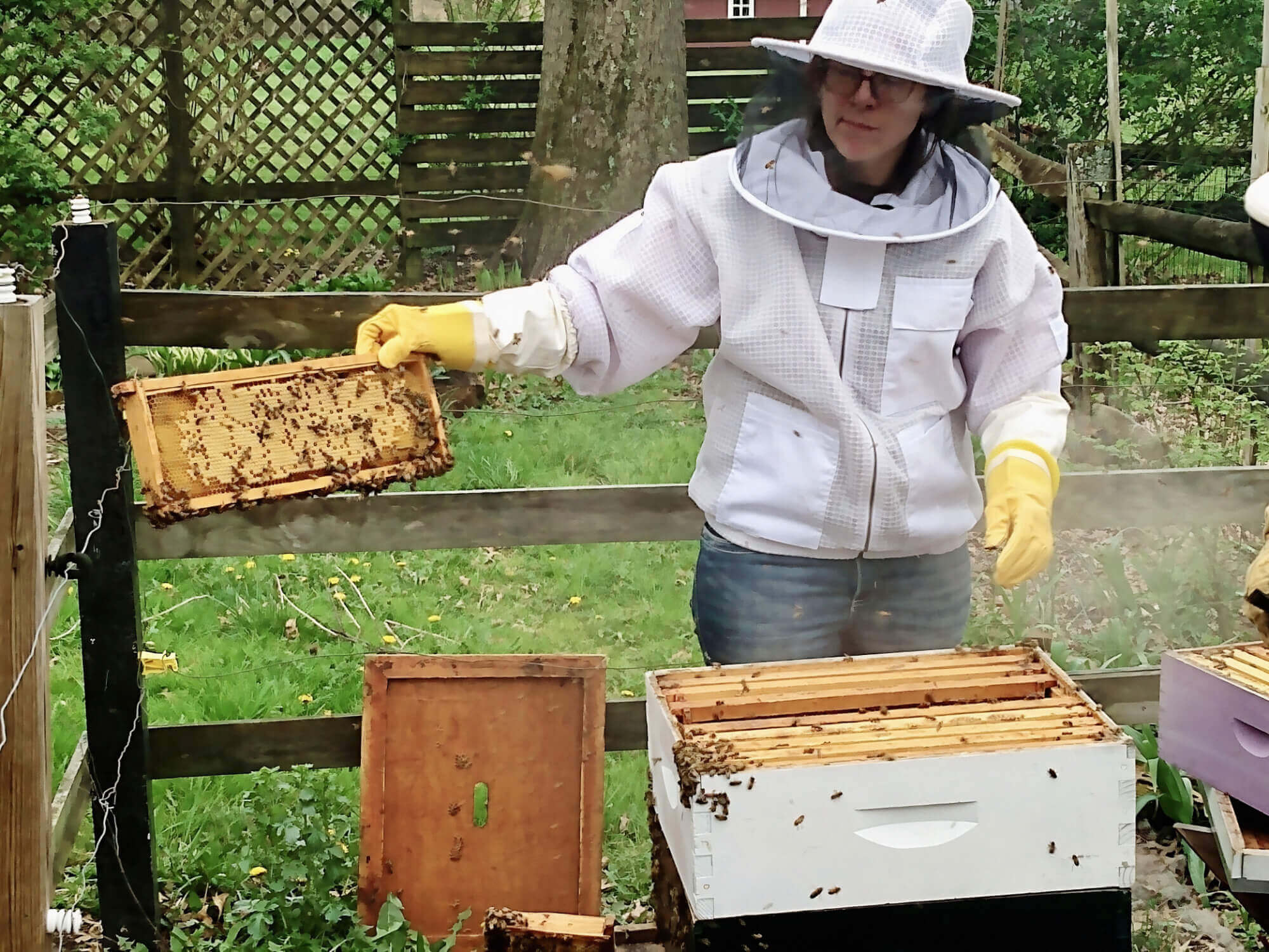 Beekeeping on Gooseberry Farm - Free Estonian Word